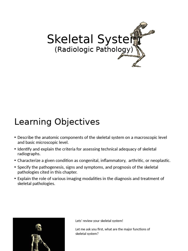 Skeletal System(3) | PDF | Bone | Vertebral Column