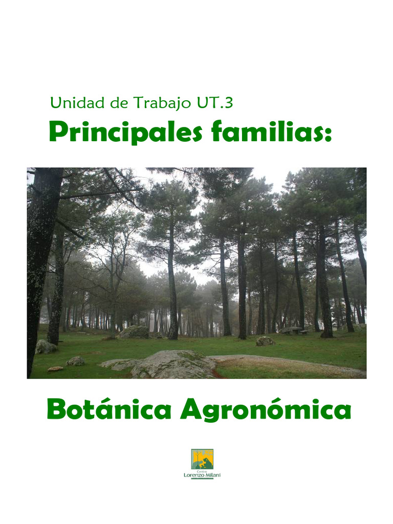 UT.03 Familias Botánicas | PDF | Roble | Plantas