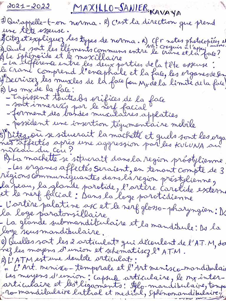 Maxillo Faciale JKL | PDF