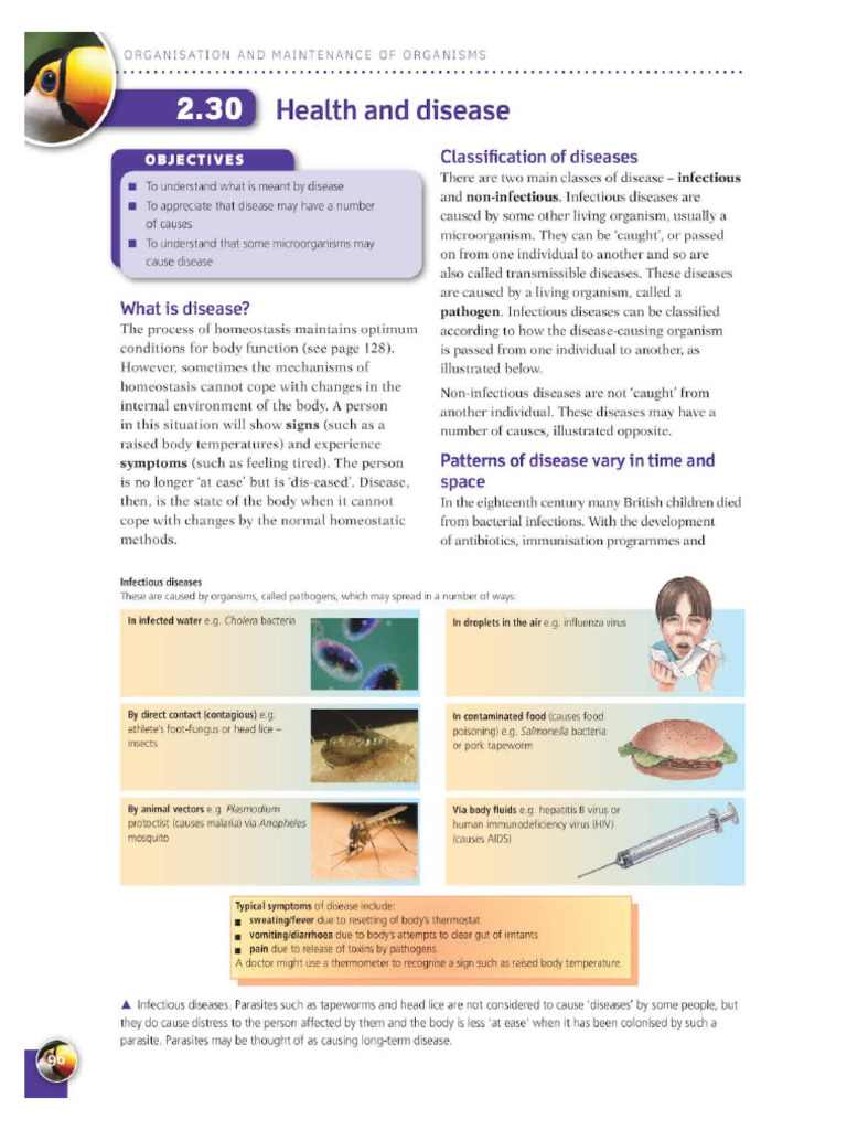 Cuadernillo 3º Bio-S.e 2024 | PDF
