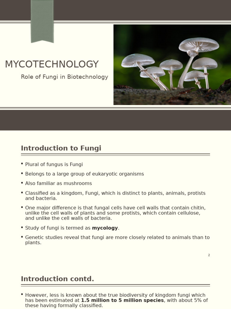 Mycotechnology, Role of Fungi in Biotechnology | PDF | Fungus | Yeast