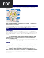 Desarrollo del Saco Coriónico en Humanos | PDF | Ciencia y matemáticas