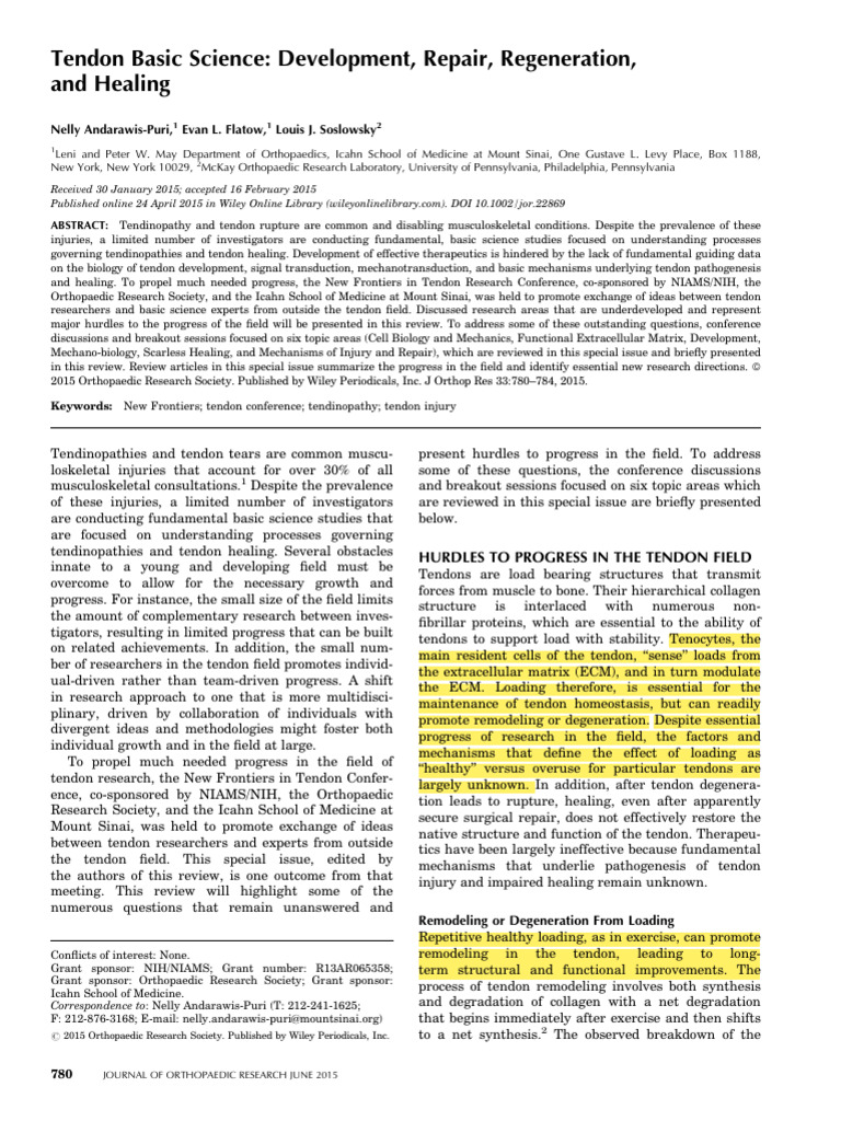 Tendon Basic Science Development, Repair, Regeneration | PDF | Tendon ...