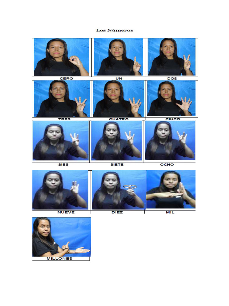 NÚMEROS EN LSV | PDF