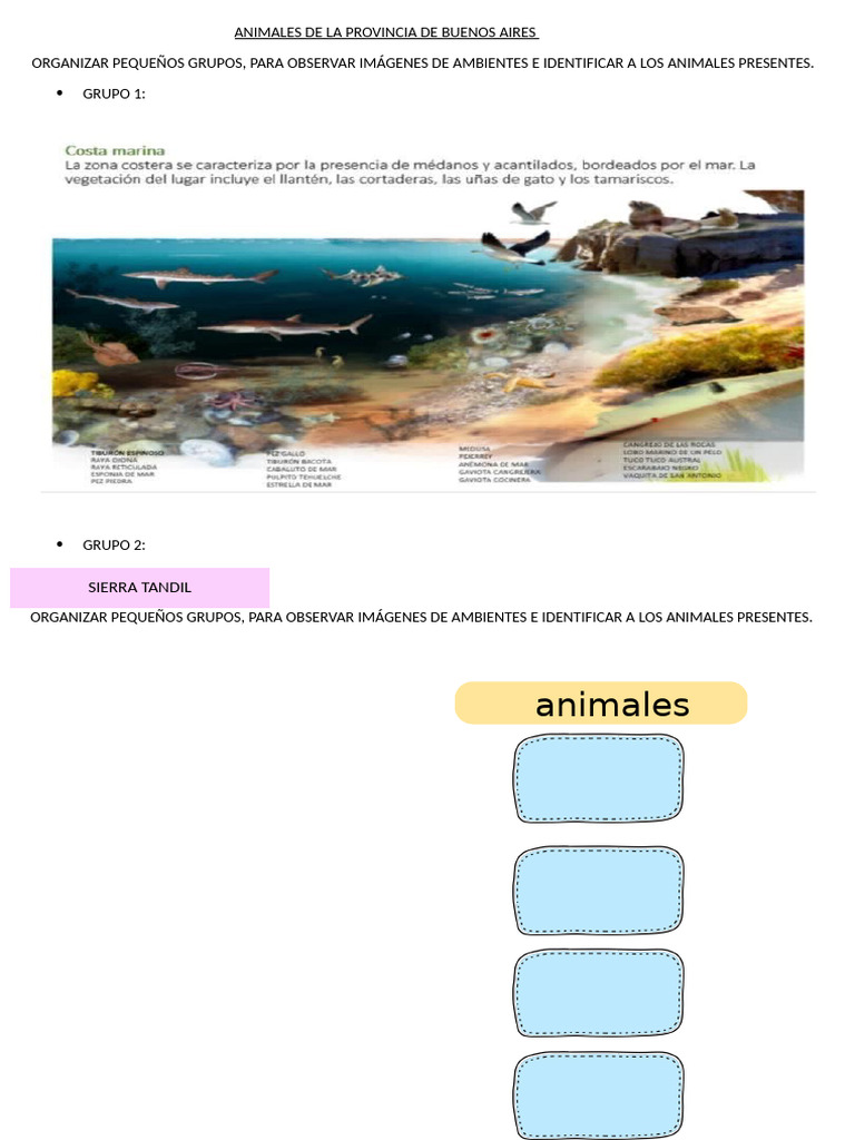 Los Animales 2° Grado | PDF