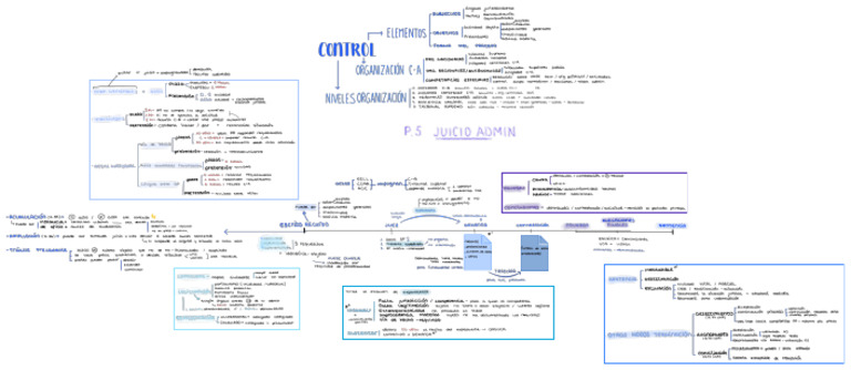 Juicio Admin - Esquema | PDF