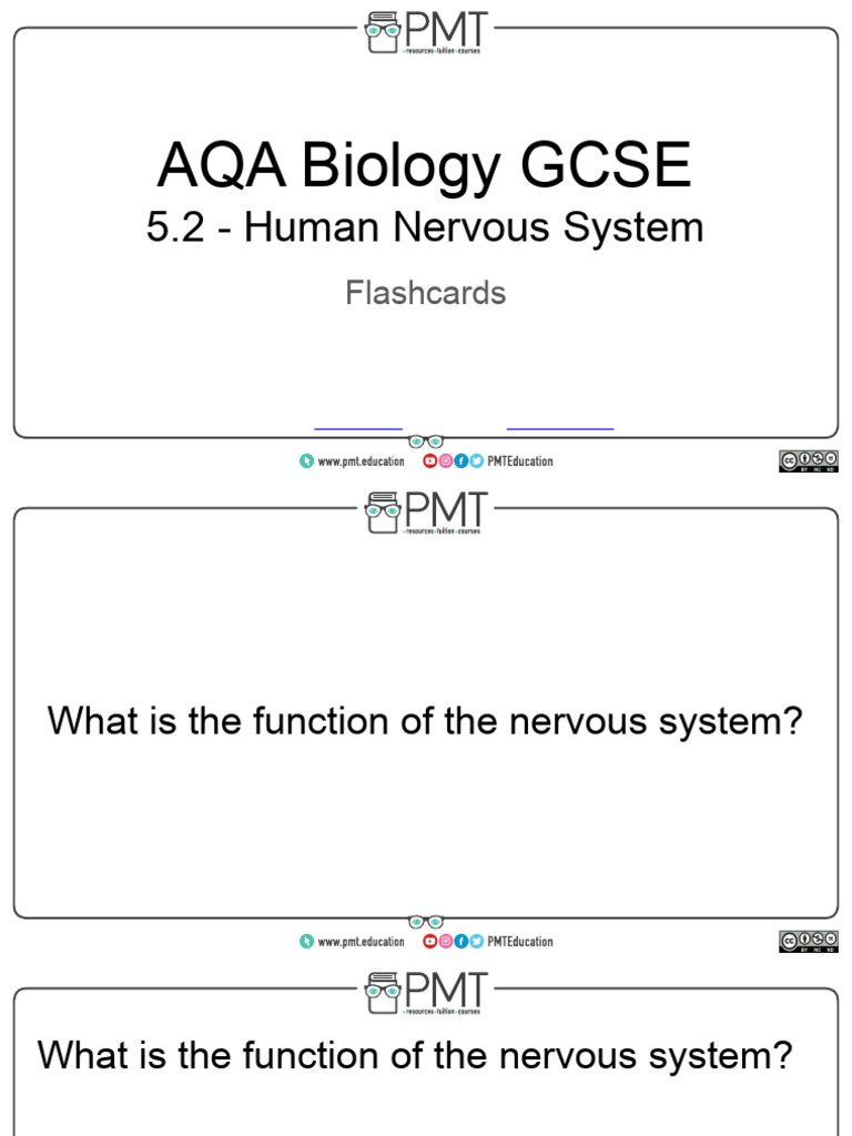 AQA Biology GCSE: Human Nervous System | PDF | Eye | Myopia