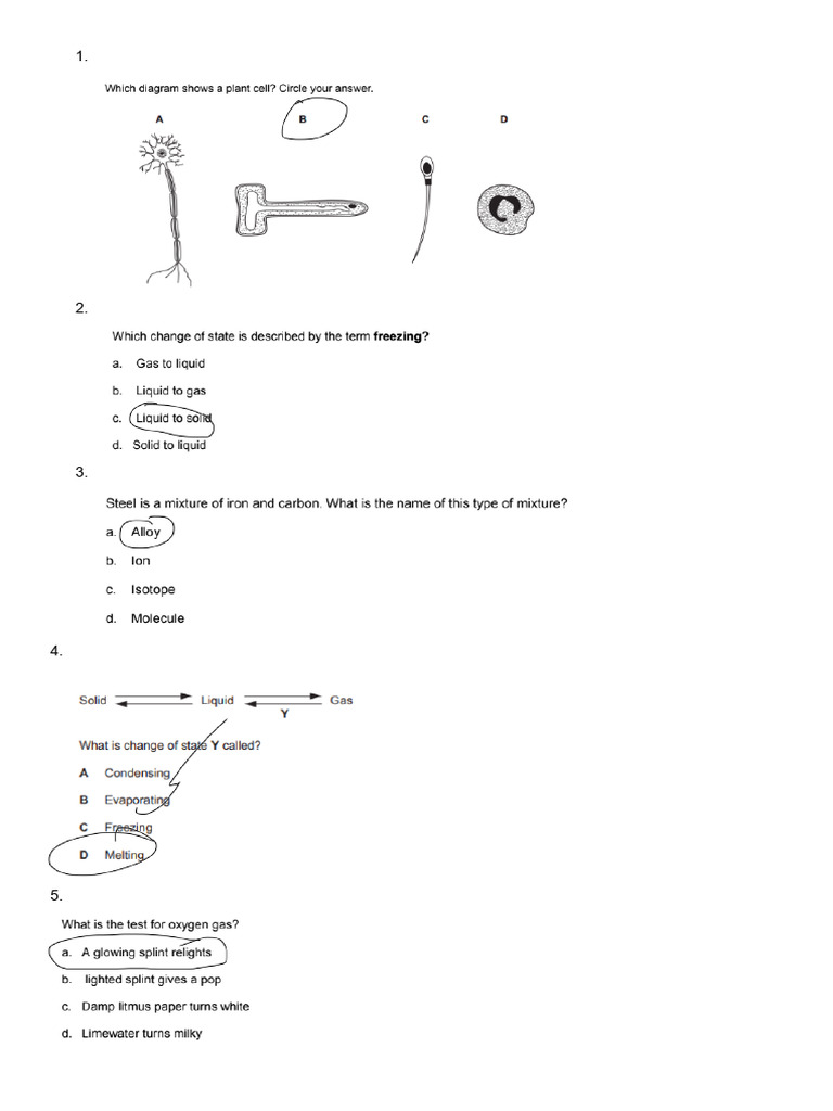 G6: Science Revision CLE 1 | PDF