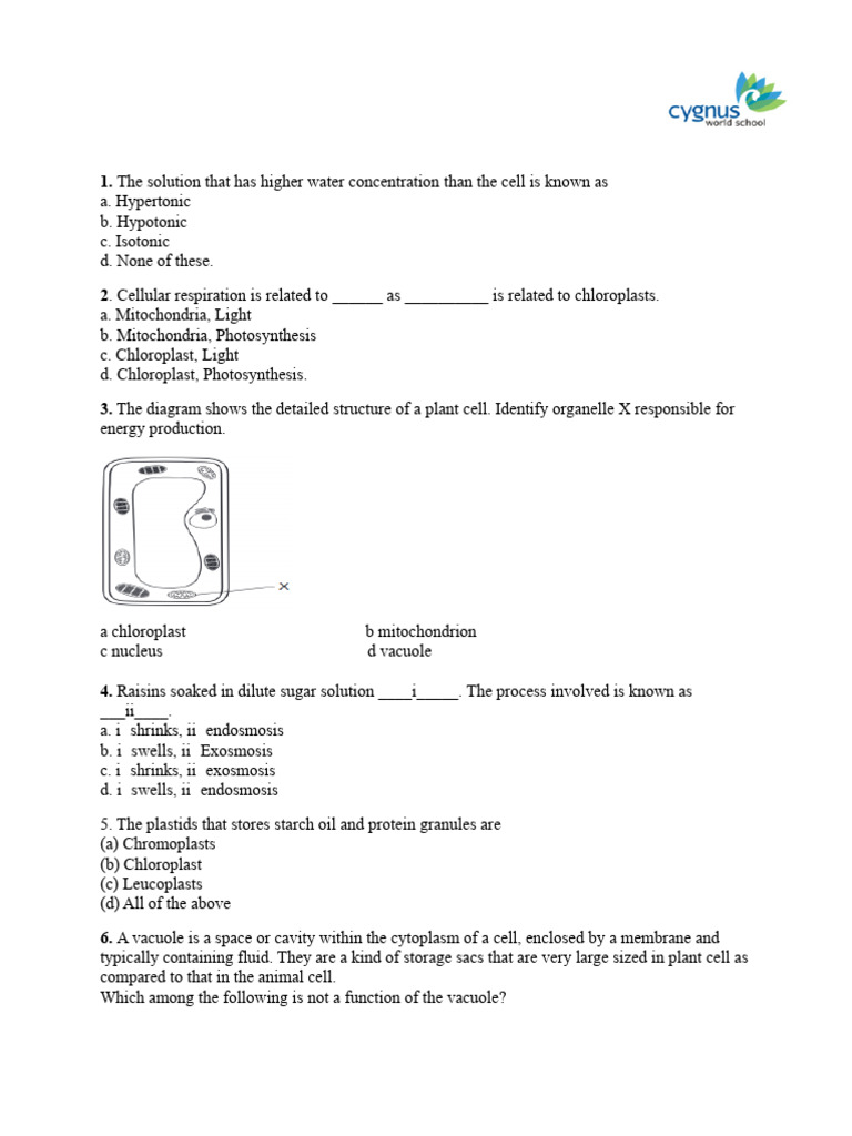 Grade 9 Biology Revision Worksheet | PDF | Cell Nucleus | Osmosis