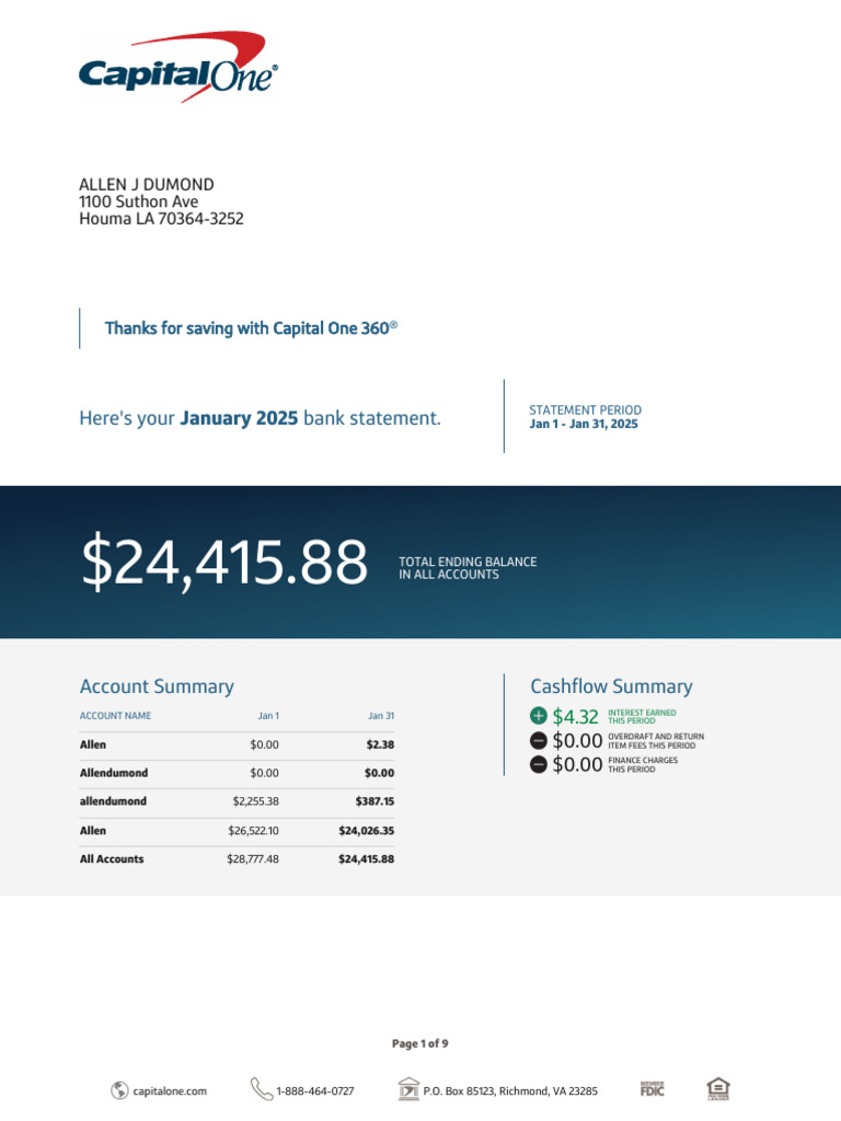Bank Statement | PDF | Transaction Account | Overdraft
