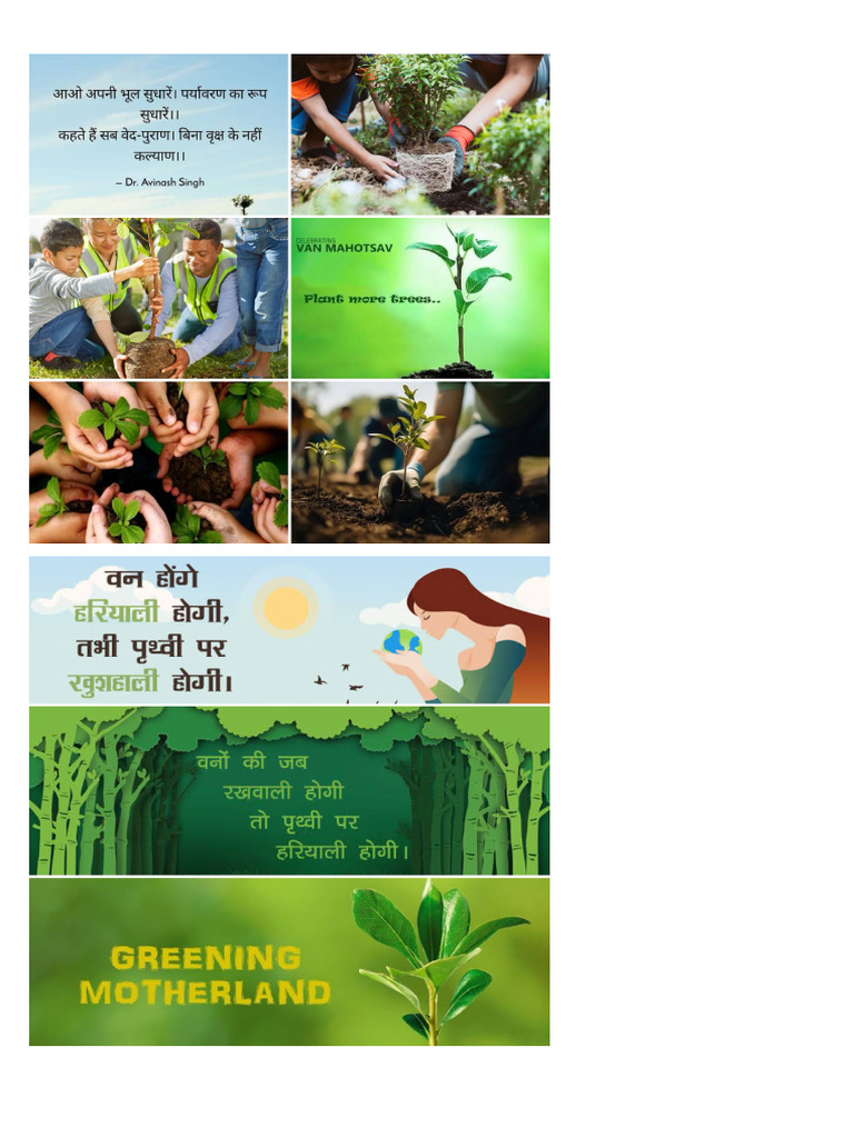 Van Mahotsav | PDF