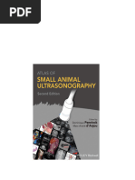 Kitty Magic | PDF | Anesthesia | Surgery