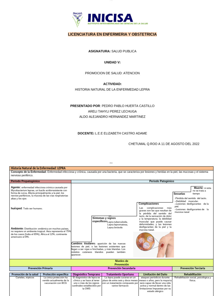 Historia Natural Lepra | PDF | Lepra | Infección