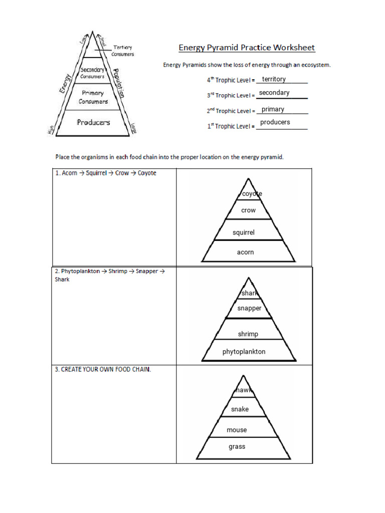Giovanni Gonzalez - Energy pyramids (4) | PDF | Ecology | Systems Ecology