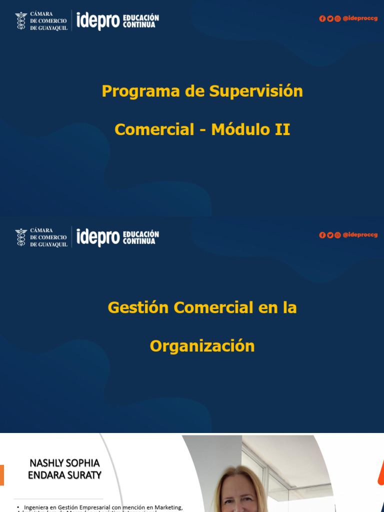 Programa Supervisión Comercial | PDF | Marketing | Marca