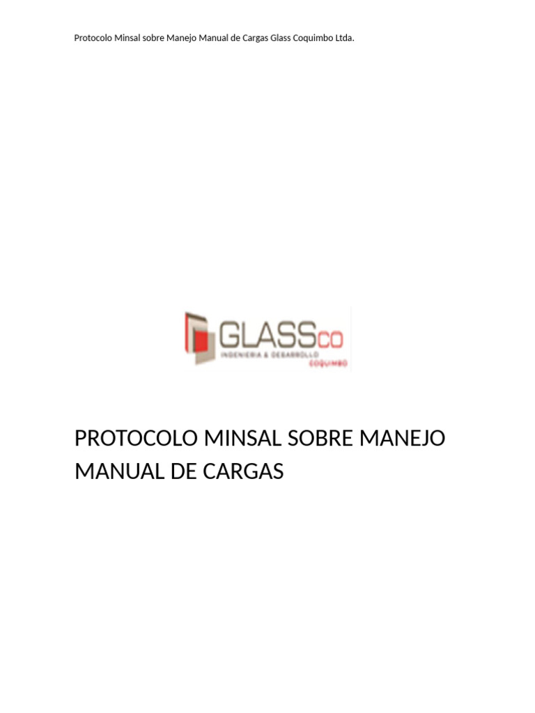 Protocolo Minsal Sobre Manejo Manual de Cargas | PDF | Seguridad y salud ocupacional