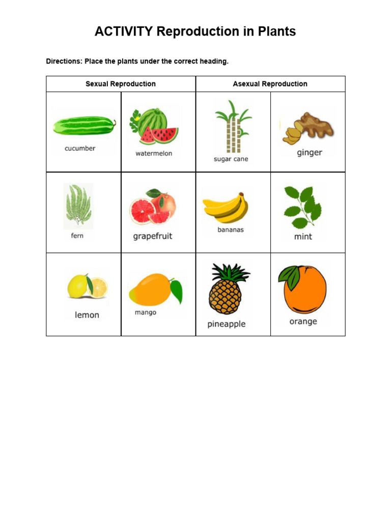Victor Patterson-Rojas - ACTIVITY Reproduction in Plants | PDF