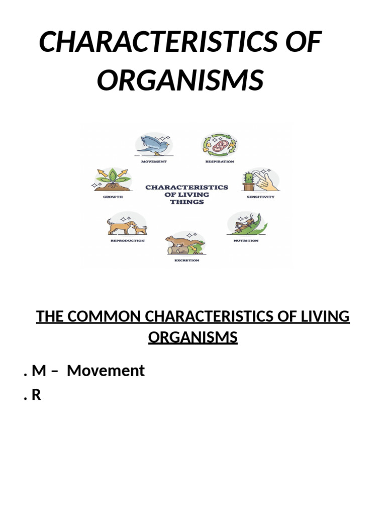 Key Characteristics of Living Organisms | PDF