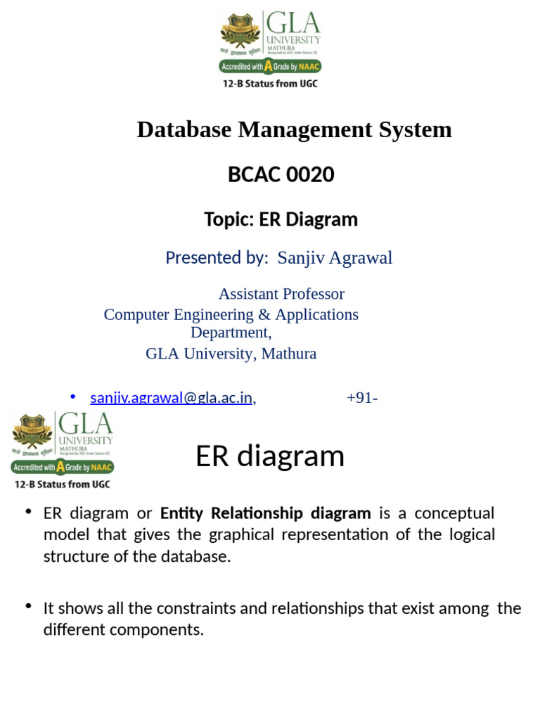 DBMS Notes(ER Diagram) | PDF | Databases | Relational Database