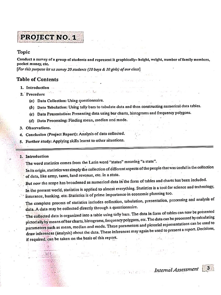 Class IX Project | PDF