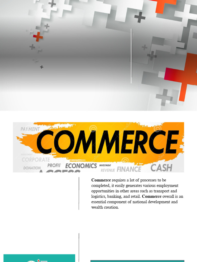 Importance of Studying Commerce | PDF | Economics | Expense