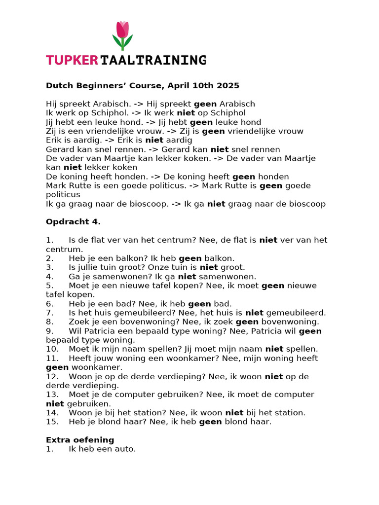 Dutch Beginners | PDF