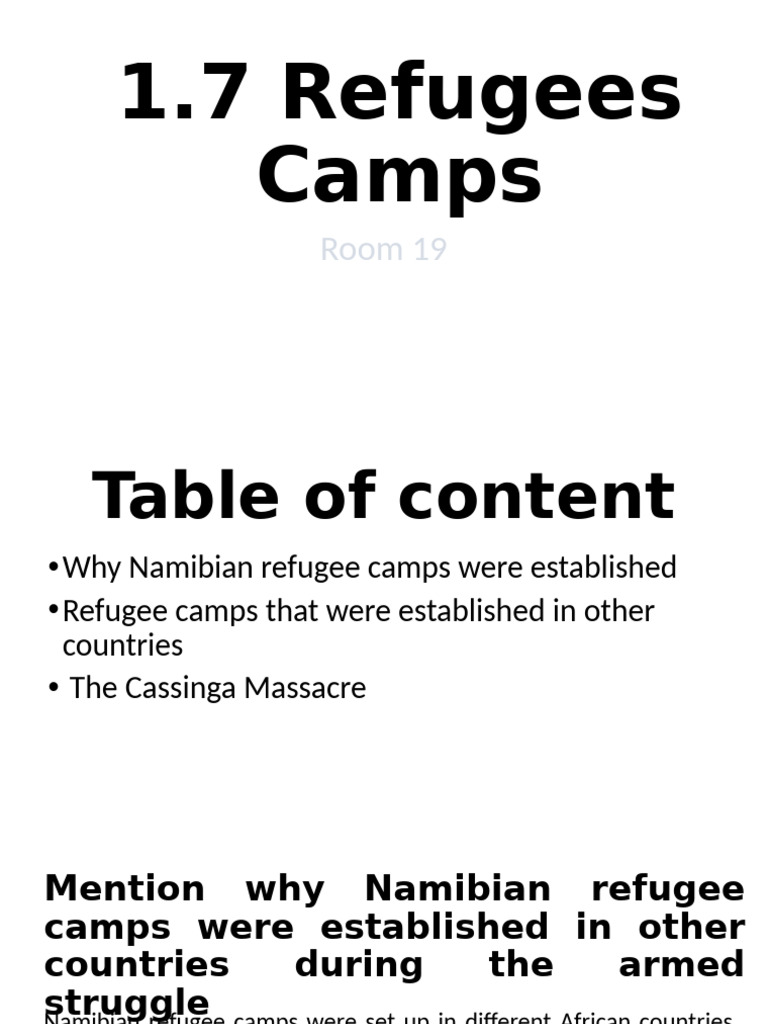 1.7 Refugees Camps | PDF