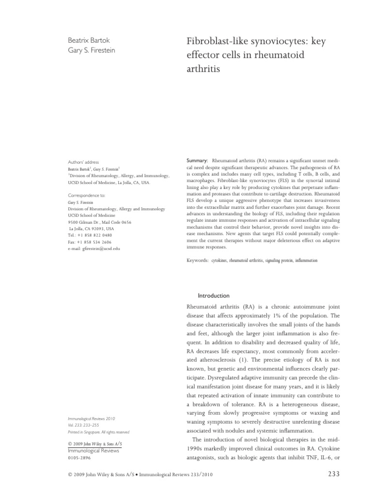 Fibroblast Like Synoviocytes Key Effector Cells in Rheumatoid Arthritis ...
