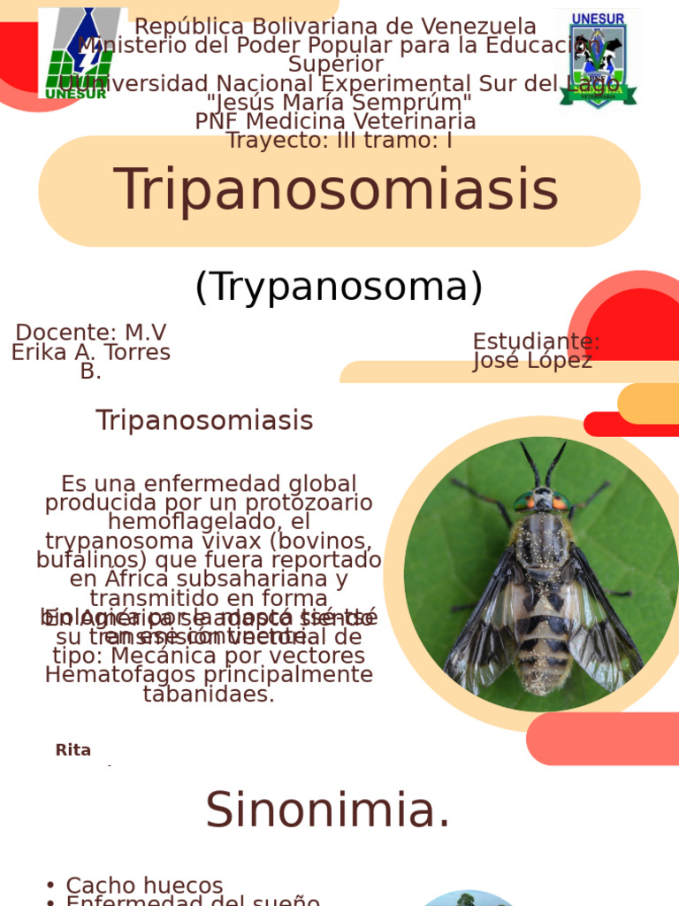 Trypanosomiasis | PDF | Especialidades Medicas | Enfermedades y trastornos