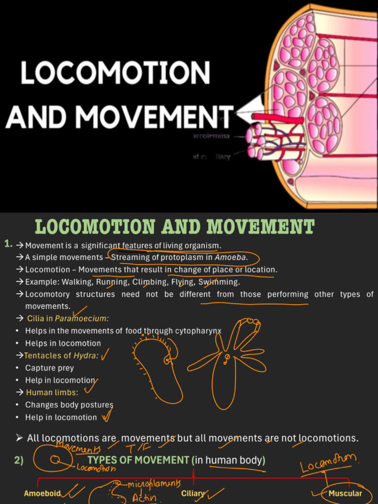 Locomotion and Movement Class Notes - Compressed | PDF