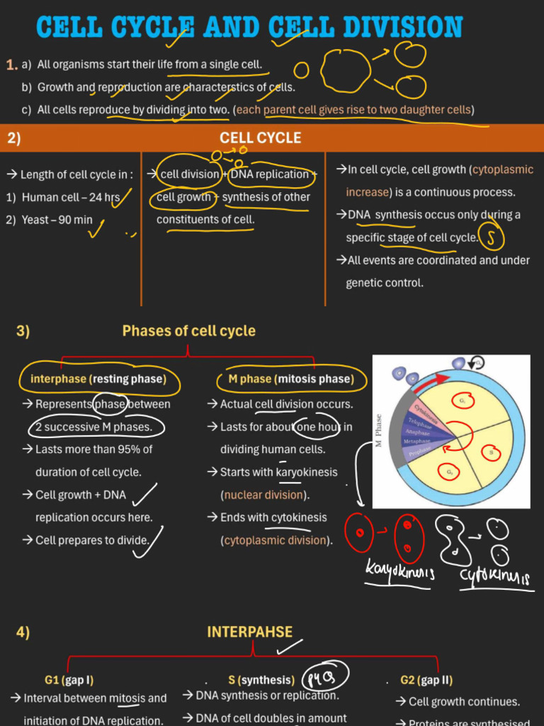 Cell Cycle and Cell Division Class Notes - Compressed | PDF