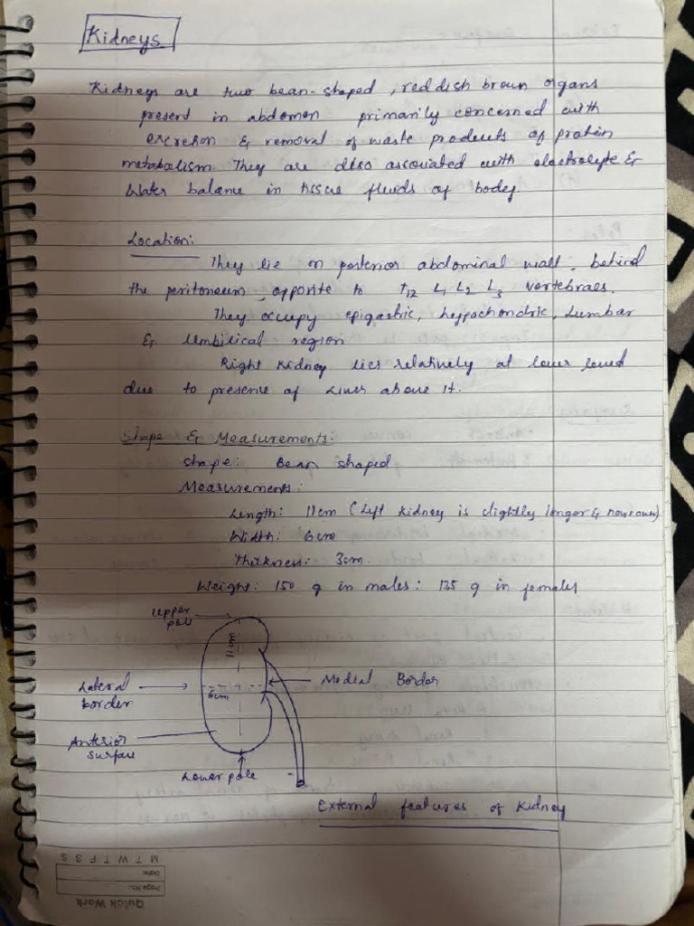 Dhanush Anat Assignment | PDF