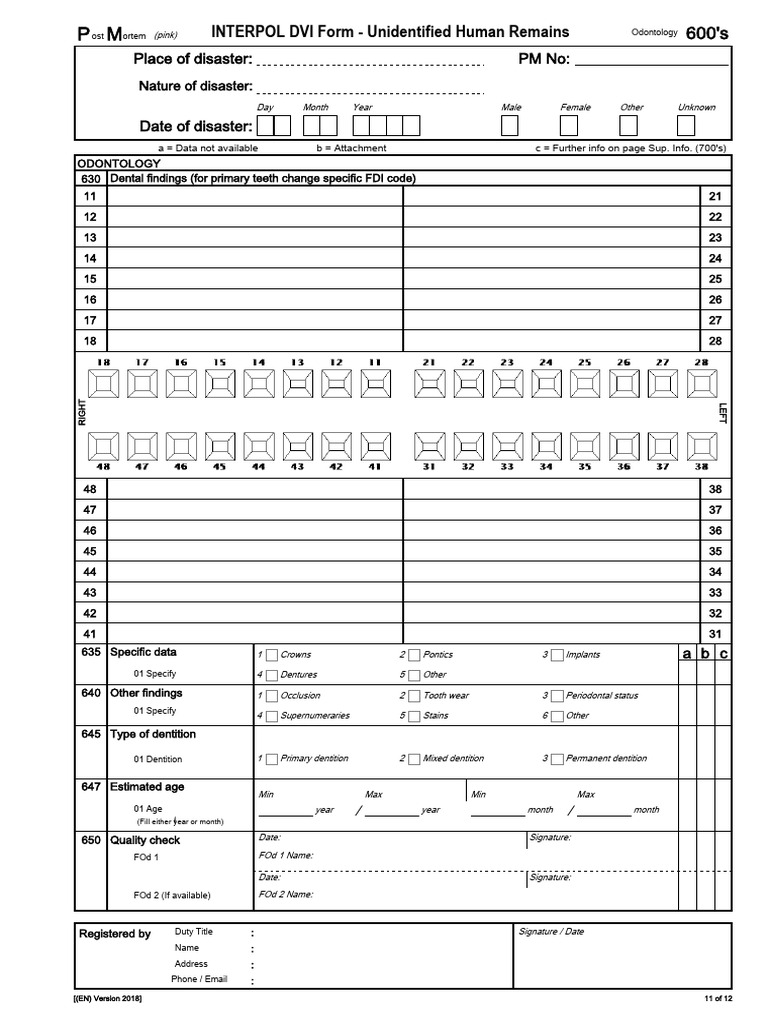 Lembar Odontogram | PDF | Dentistry | Medical Specialties