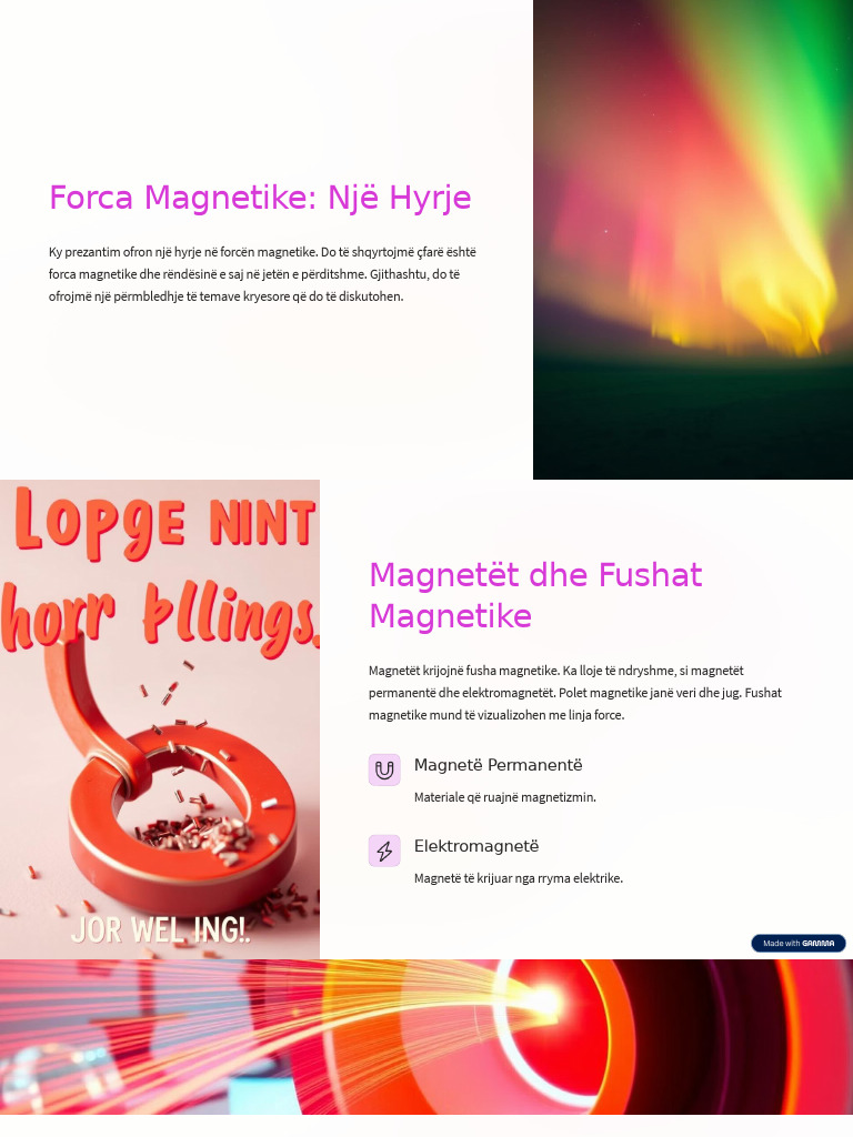 Forca Magnetike Nje Hyrje | PDF