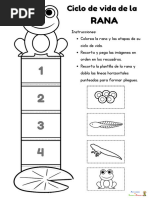 Ciclo de Vida de Las Aves | PDF