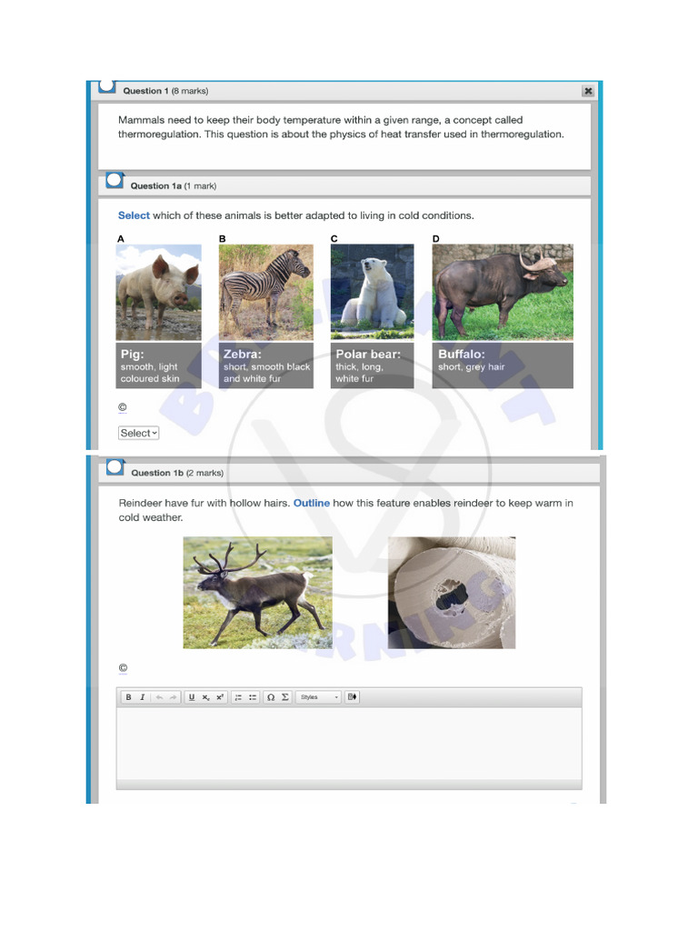 2020 November Physics Eassessment IB MYP | PDF