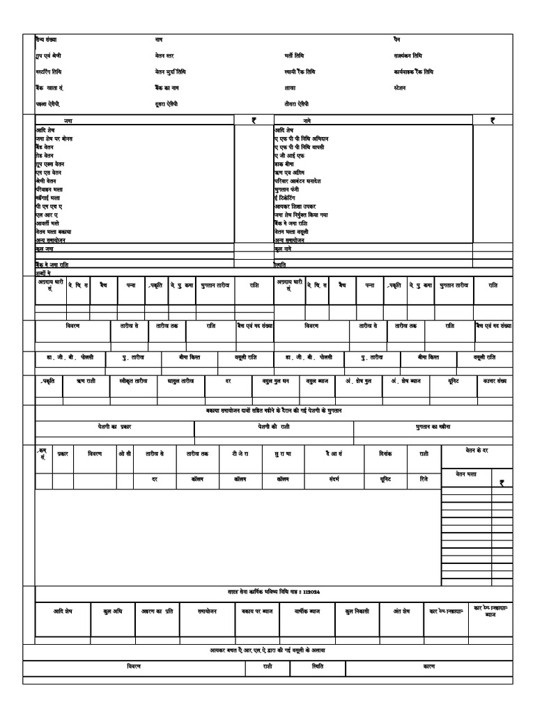 Employee Salary and Allowance Statement | PDF