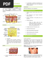 Lesões Dermatológicas: Classificação e Tipos | PDF | Doenças cutâneas ...