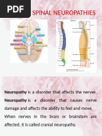 Adult Neurological Observation Chart Education Package | PDF ...