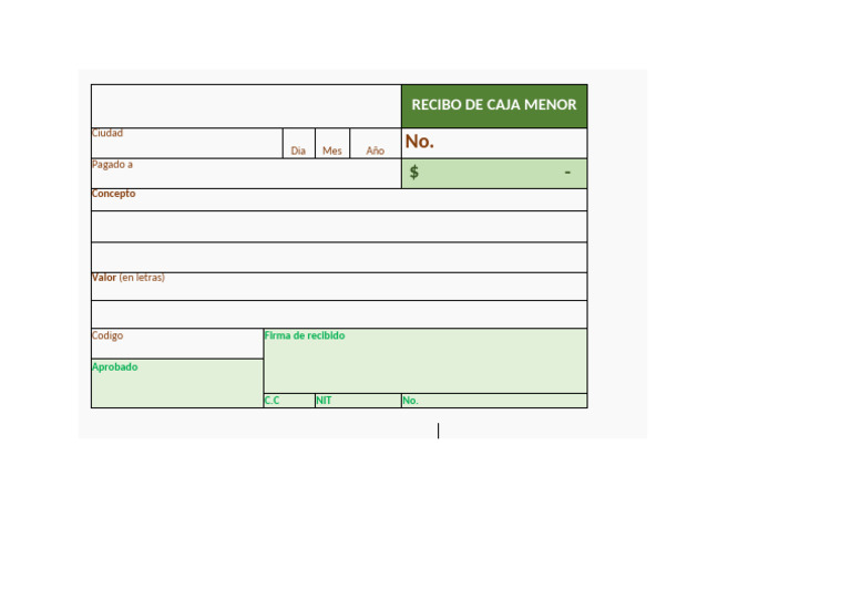 Instrucciones para Recibo de Caja Menor | PDF