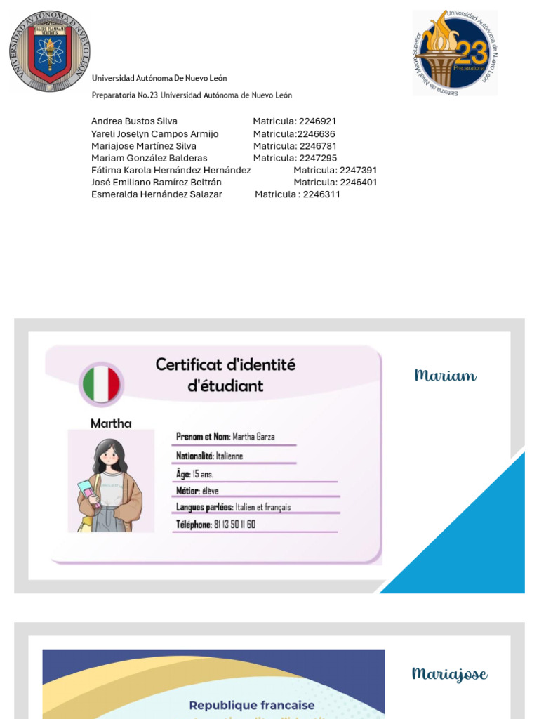 Equipo 3 - Integradora Frances | PDF