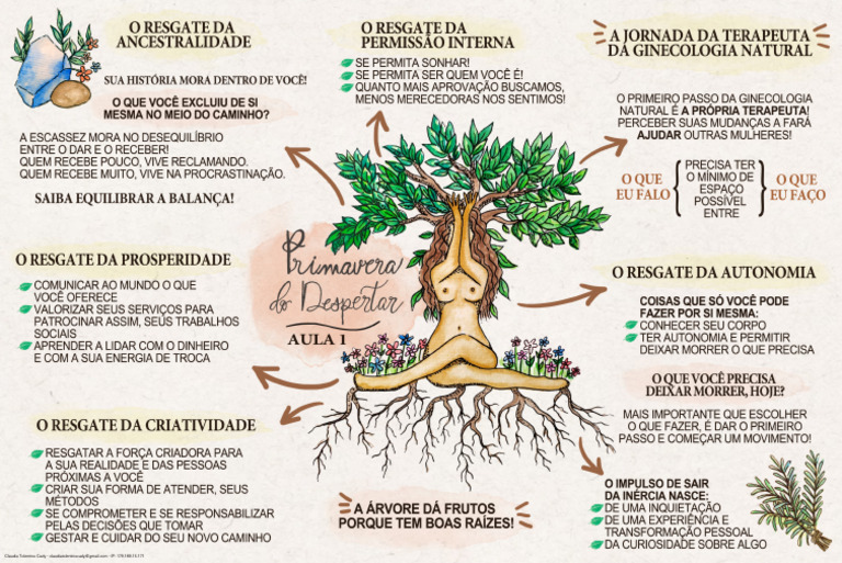 Primavera Aula1 | PDF