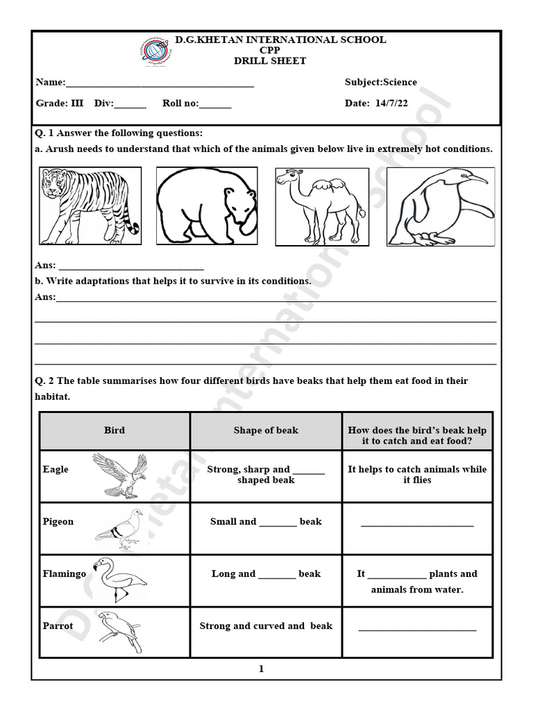 Science drill sheet 4.4 PDF | PDF | Beak | Birds