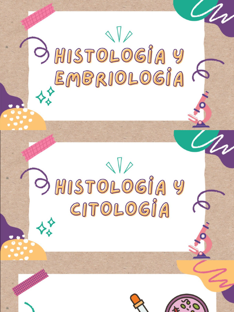 4. Histo (1) (2) | PDF