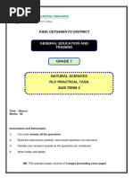 GEMS Chronic Medicine Application Form 2025 | PDF | Renal Function ...