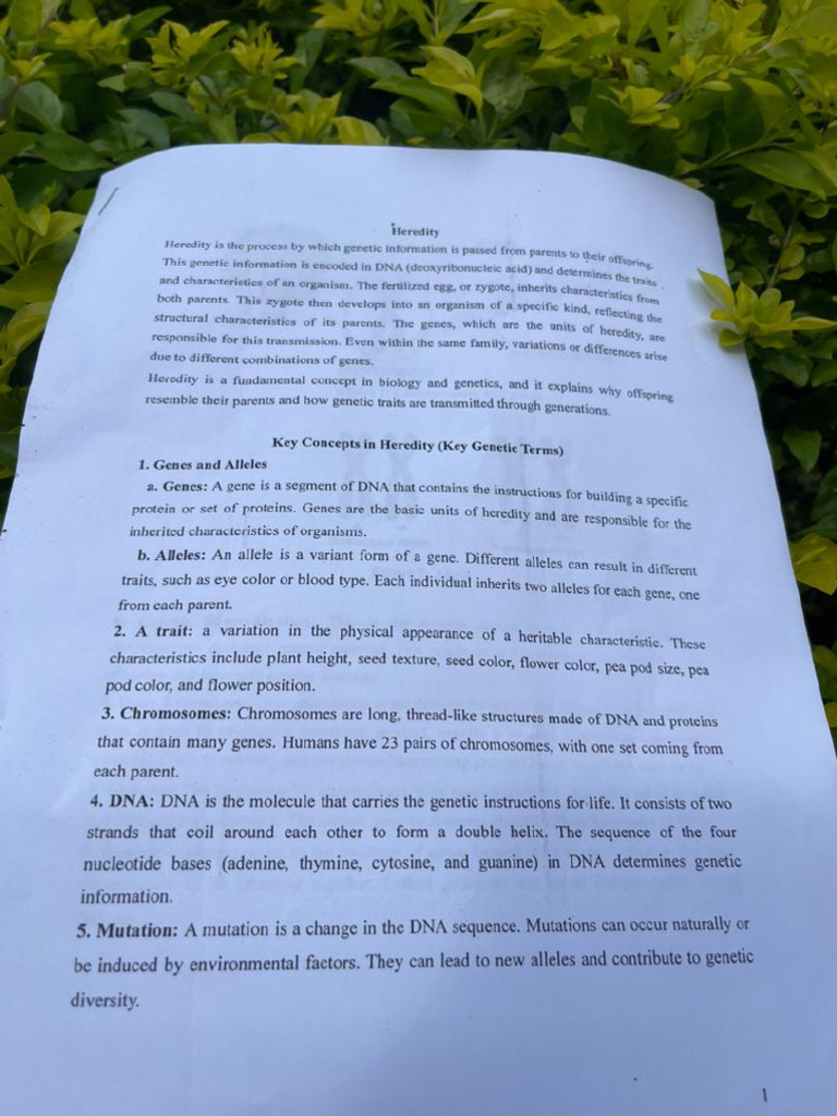 BIO 101 On Heredity and Genetics | PDF