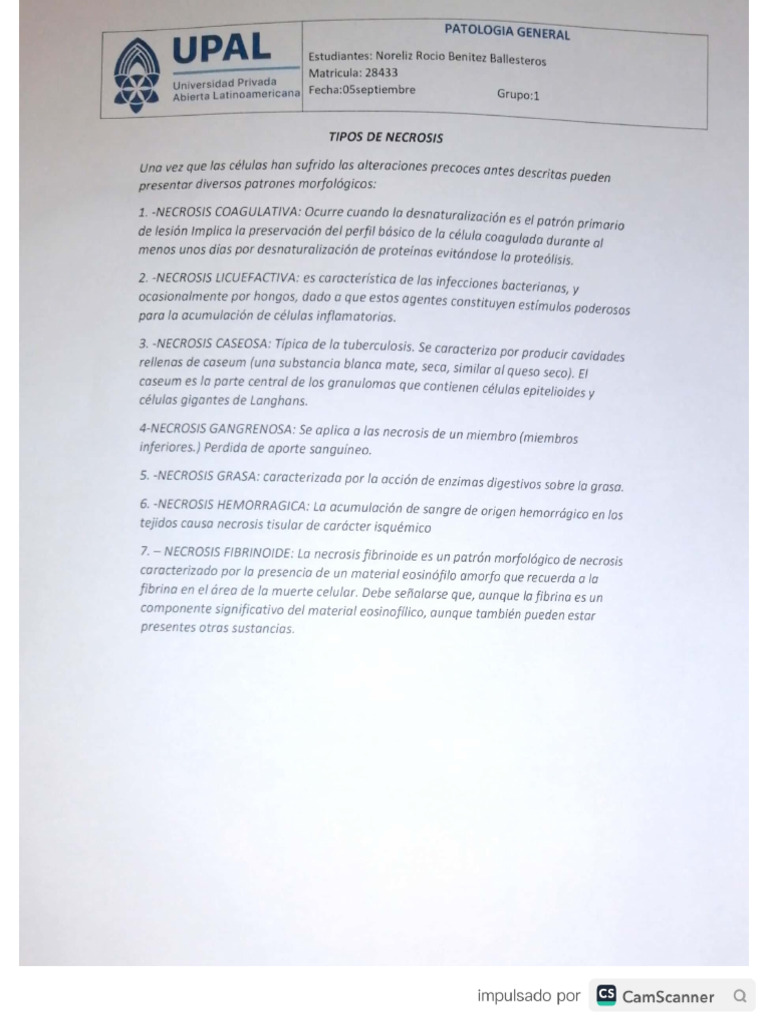 Tipos de Necrosis | PDF