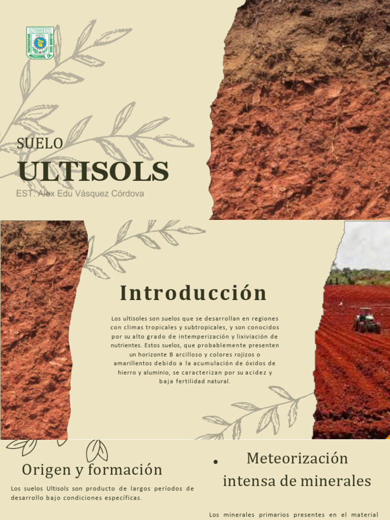 Ferti Edu | PDF | Suelo | Meteorización