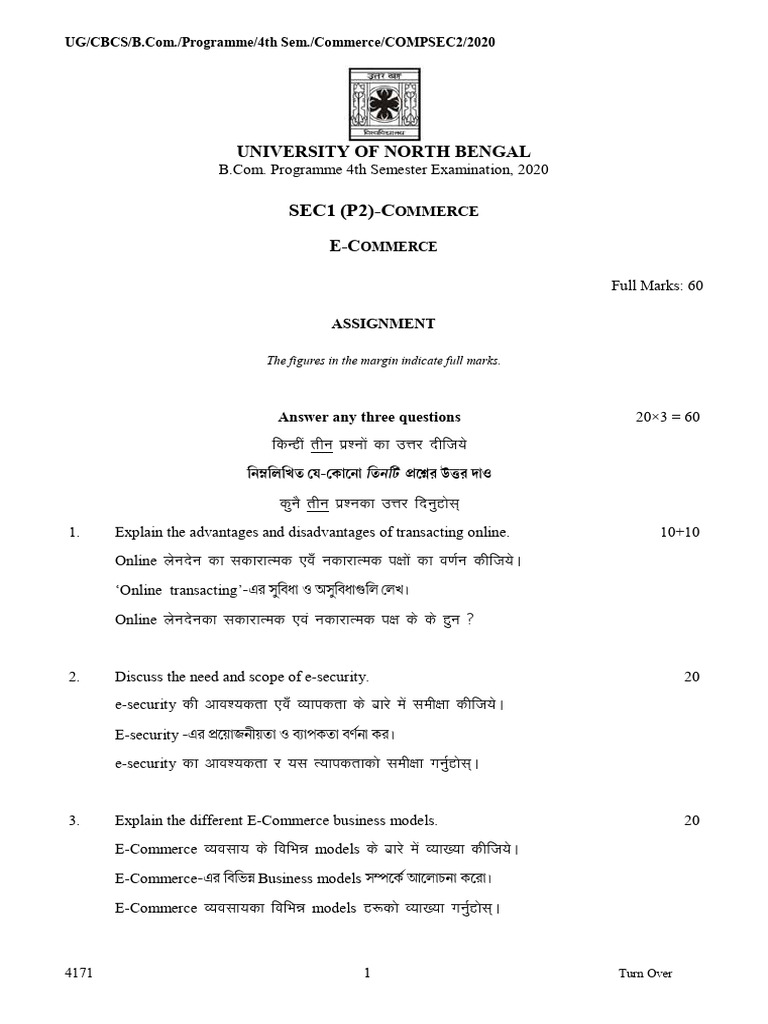 E-Commerce Assignment for B.Com 4th Sem | PDF | E Commerce | Financial ...
