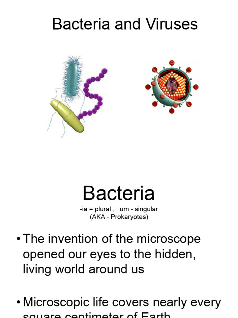 Biology - Bacteria and Viruses | PDF | Bacteria | Virus